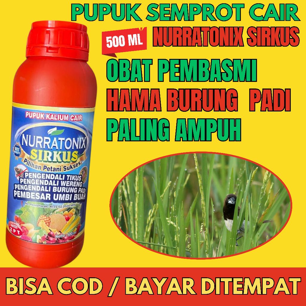 Jual Obat Semprot Pengusir Hama Burung Di Lahan Pertanian - Obat ...