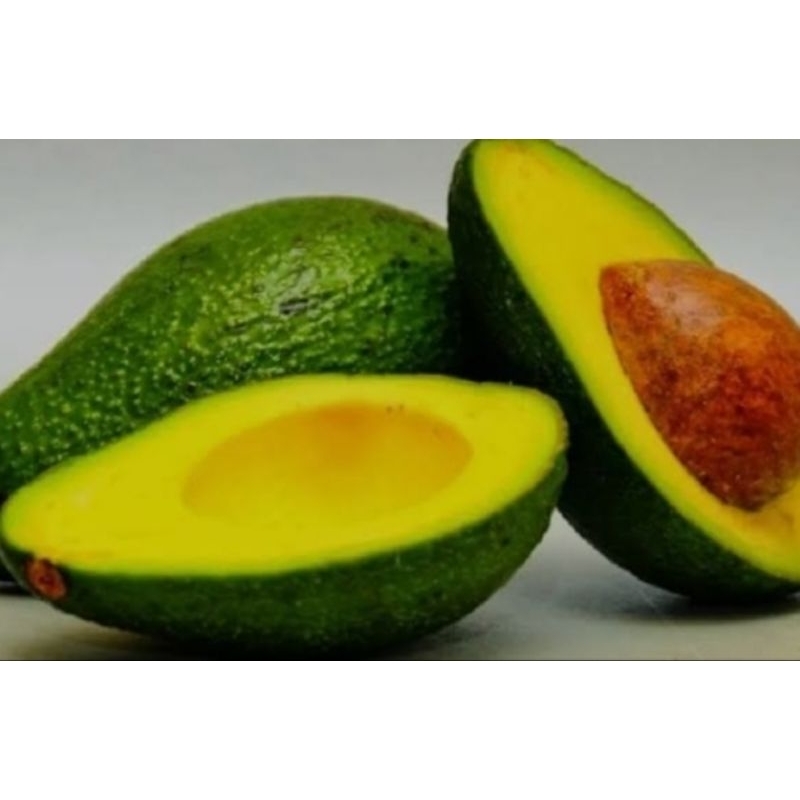 Jual Alpukat Mentega tua kuning super fresh 1kg berisi 3-4-5 | Shopee ...