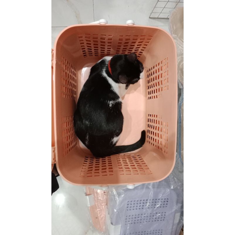 Jual KERANJANG RIO BESAR BELANJA PIKNIK STERIL KANDANG KUCING KELINCI ...