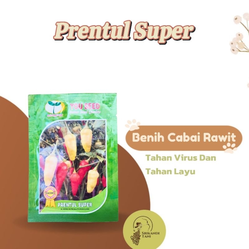 Jual Cabe Prentul Super 10gr Original Pabrik Buah Lebat Petani Untung ...