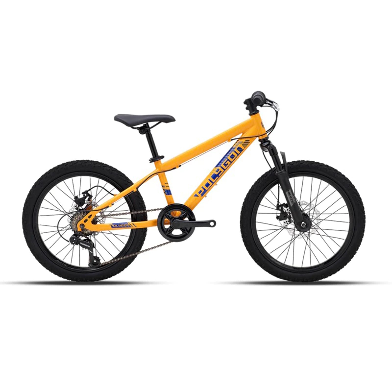 Jual Sepeda anak MTB Polygon MAze 20inch 1x7speed alloy | Shopee Indonesia