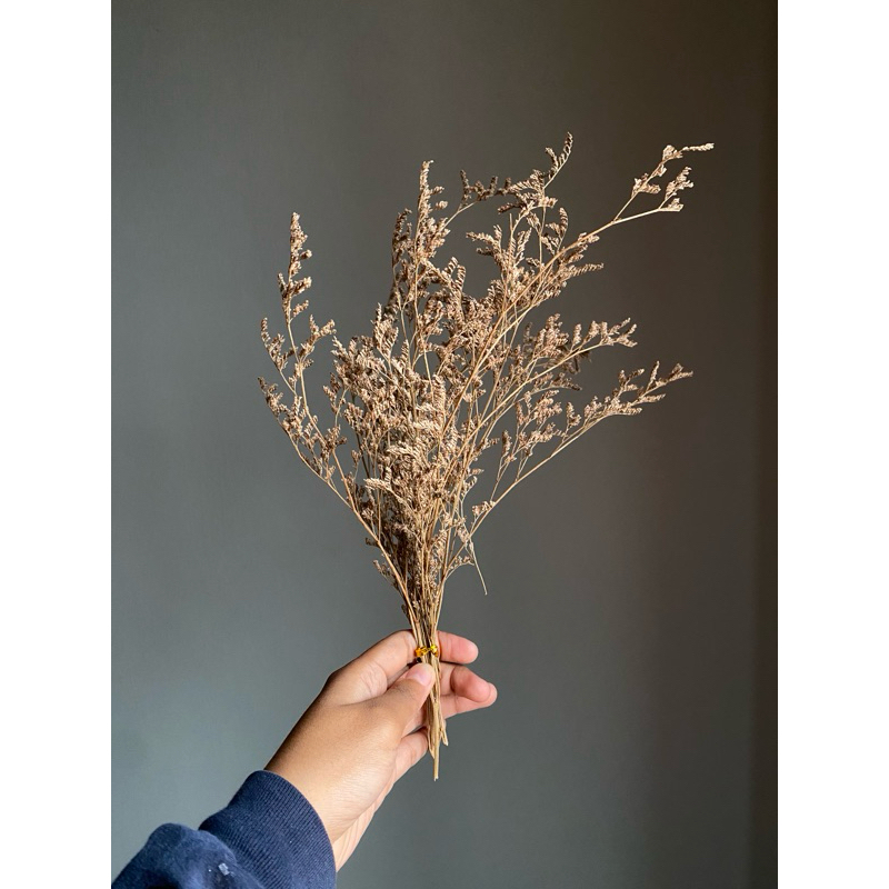 Jual BUNGA KERING CASPEA/BUNGA KERING/DEKORASI RUSTIC/ limonium caspea ...
