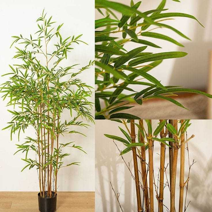 Jual Pohon Bambu Hias 1.2METER TERMASUK POT - Tanaman Pohon Artificial ...