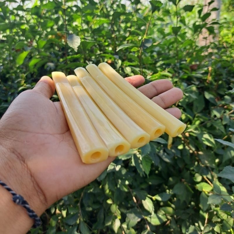 Jual once pipa pipo tulang import way kambas kotak persegi 12 cm super ...