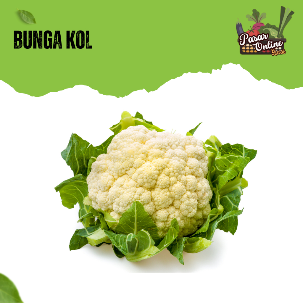 Jual BUNGA KOL / KEMBANG KOL - 500GR | Shopee Indonesia