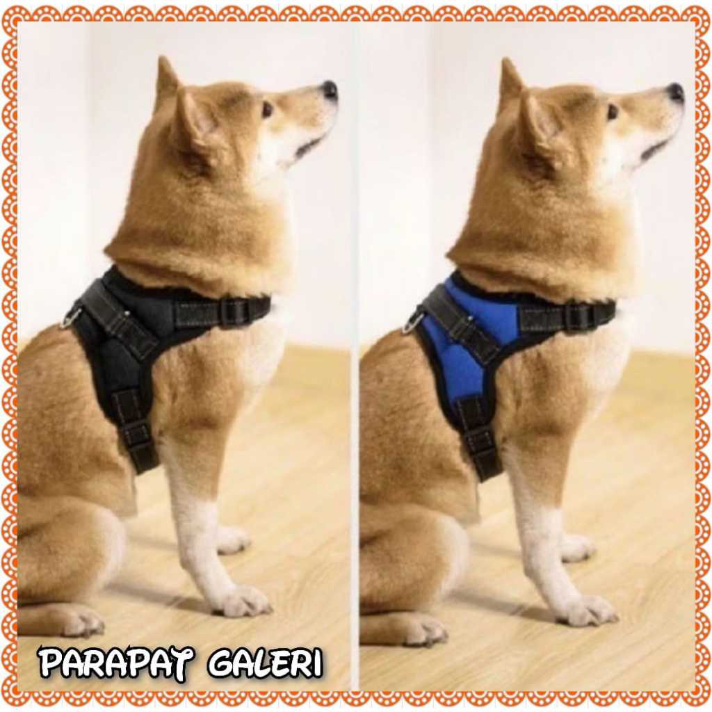 Jual Harness Anjing - Rompi Tuntun Anjing Ras Besar - Breathable ...
