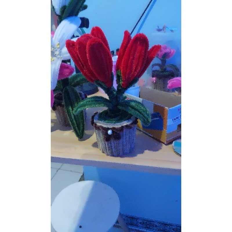 Jual pipe cleaner flower, bunga kawat bulu pot,Tulip merah | Shopee ...