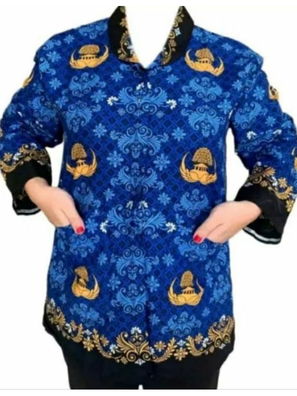 Jual Seragam Korpri Terbaru 2024 Pria/Wanita Full Furing | Shopee Indonesia