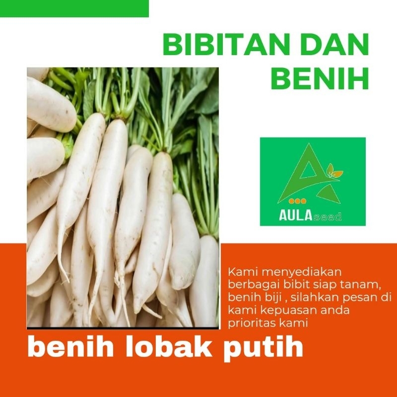 Jual benih bibit lobak putih paket 1 kg | Shopee Indonesia