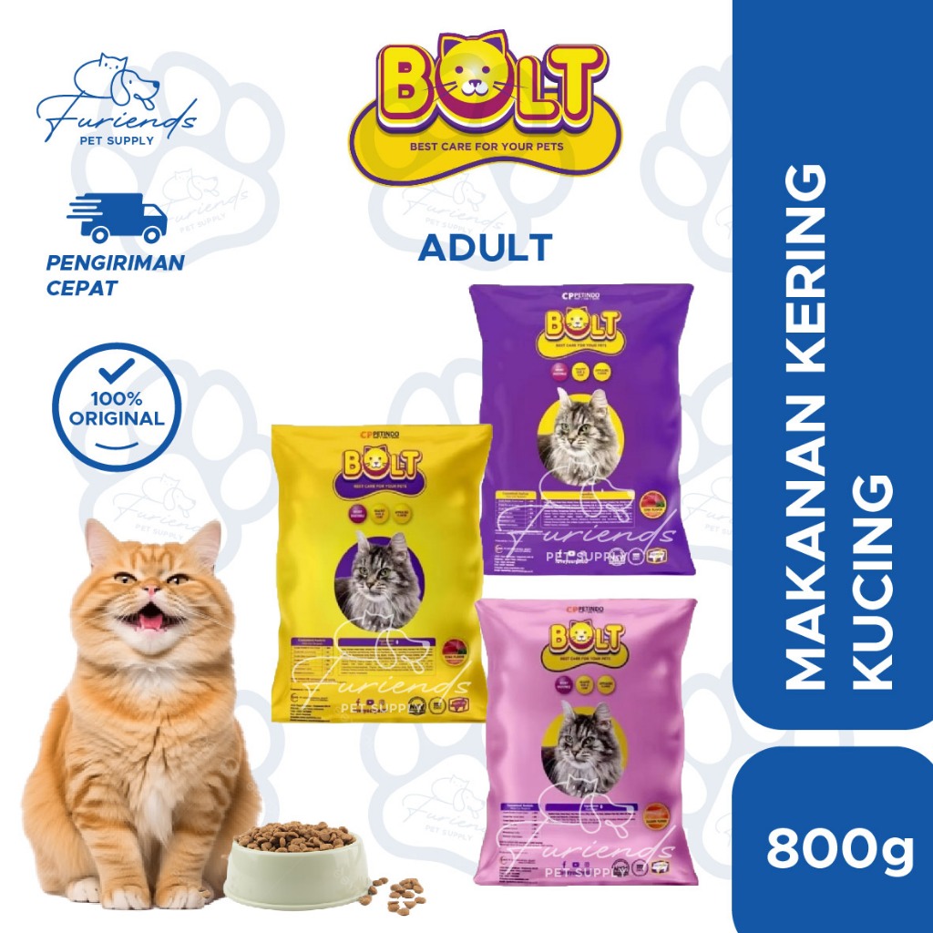 Jual BOLT ADULT BOLT MOTHER KITTEN Makanan Kucing Makanan Kering Kucing ...