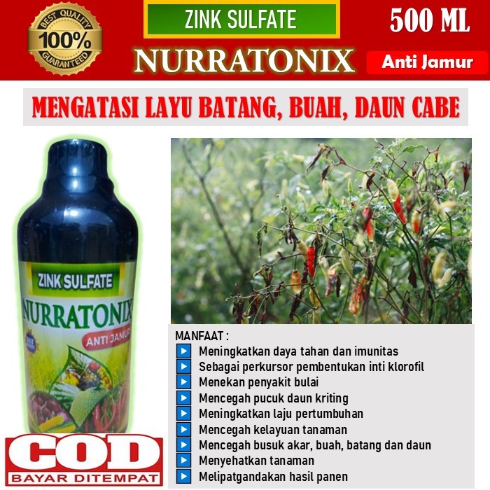 Jual Pupuk Organik mengatasi Layu Batang, Buah Dan Daun Cabe terbaik - ZINK SULFATE NURRATONIX ...