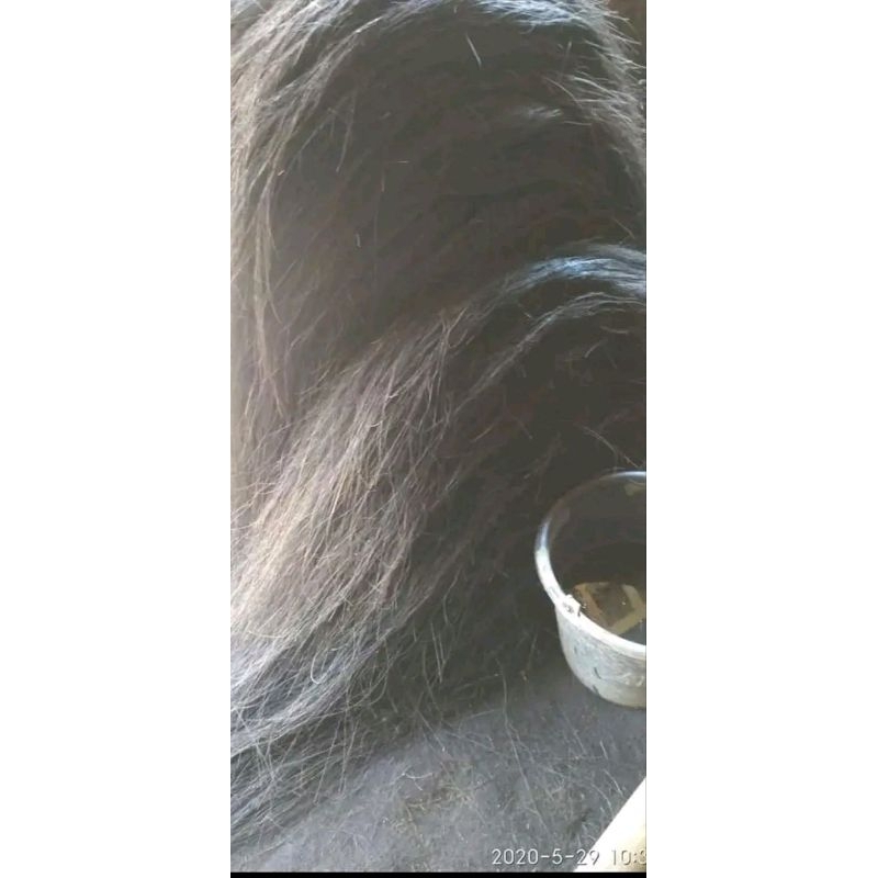 Jual Ijuk sisiran 1kg harga ijuk super kwalitas terjamin 40.000 IJUK ...