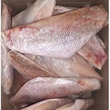 Jual Ikan Kakap Merah Fillet/Angco Fillet/ Red Snapper fillet | Shopee ...