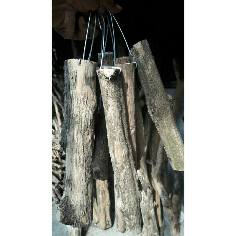 Jual kayu kopi/cantolan anggrek 30cm | Shopee Indonesia