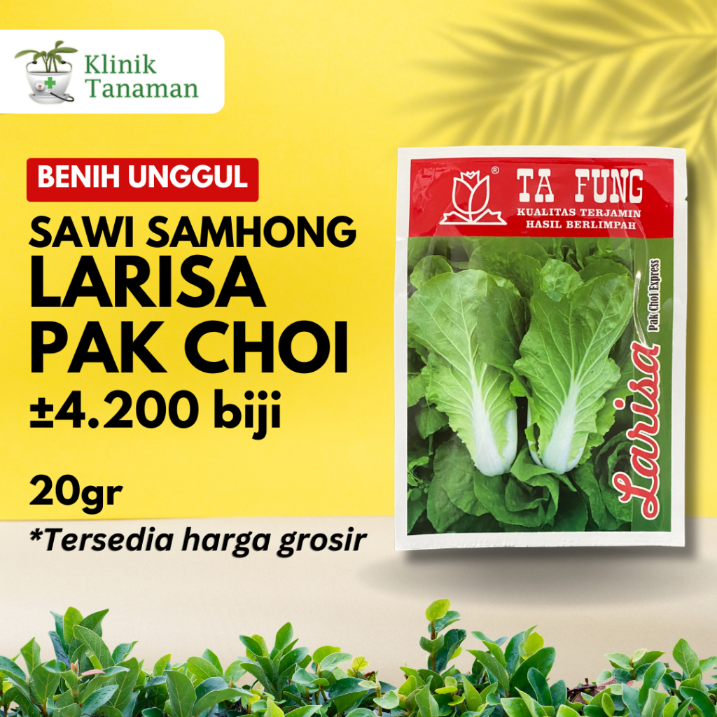 Jual Benih Sawi Larisa Pak Choi Express 10gr (4.200 Biji) Benih Sawi ...