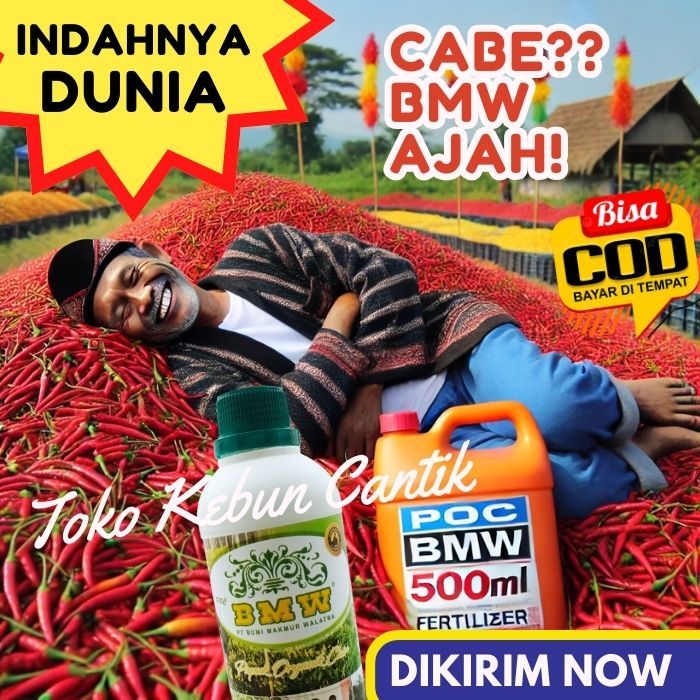 Jual PUPUK MURAH ORGANIK POC BMW 500 ML UNTUK CABE RAWIT LEBAT DAN MELIMPAH, MENYUBURKAN DAUN ...