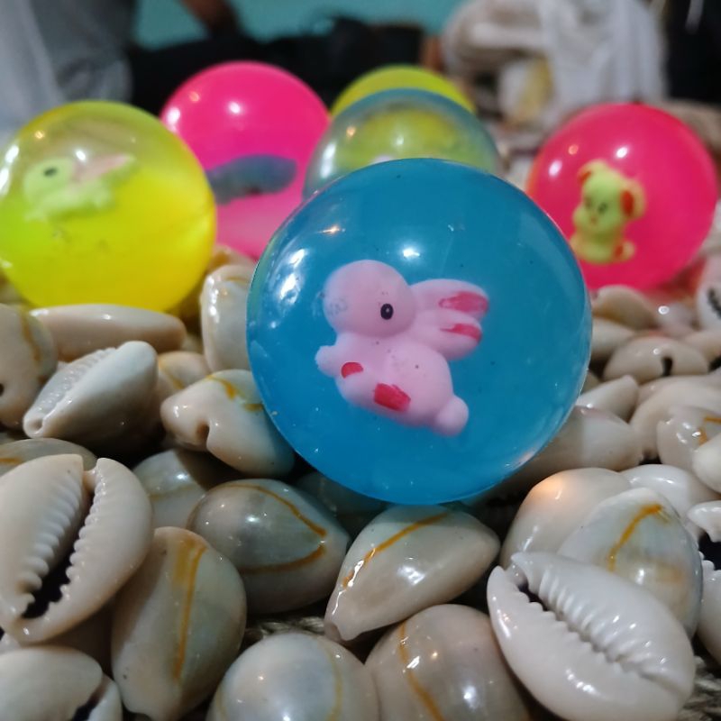 Jual Set Bola Bekel Isi 10Pc Kerang Kuwuk Asli Promo Rumah Tasik ...