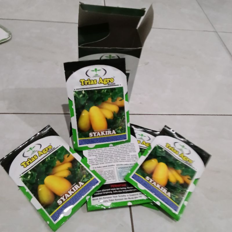 Jual Benih Buah Timun Suri Berkwalitas Jumbo Syakira F1 (Umur Genjah pendek, Berbobot dan Besar ...