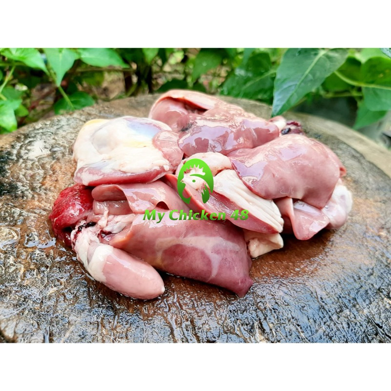 Jual Ati Ampela Ayam 500gr Daging Ayam Potong Segar Fresh Frozen ...