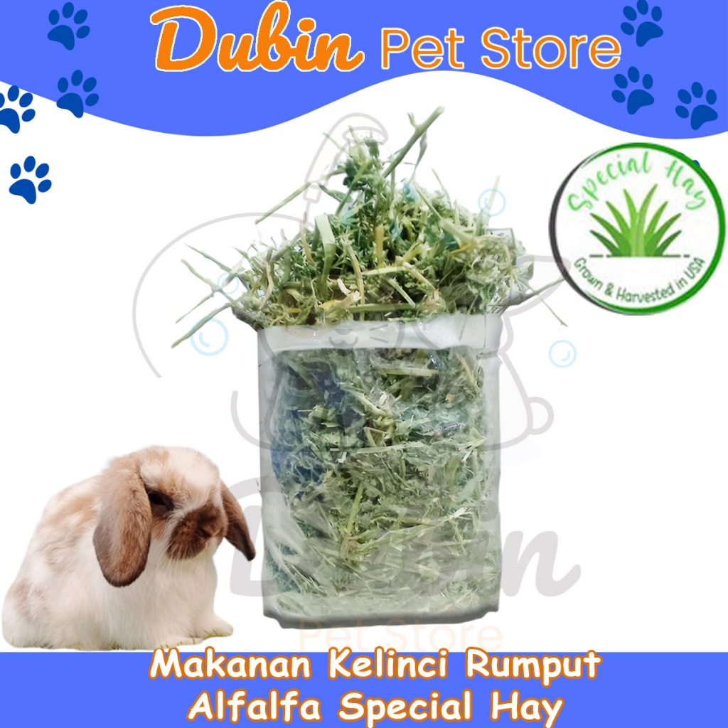 Jual Rumput Alfalfa Hay 100 gram SH Special Hay Rumput Hay Alfalfa ...