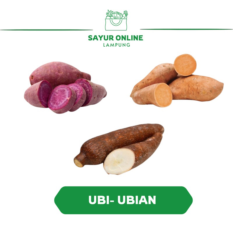 Jual Ubi-Ubian /Ubi kayu/ Mantang - Sayur Online Lampung | Shopee Indonesia
