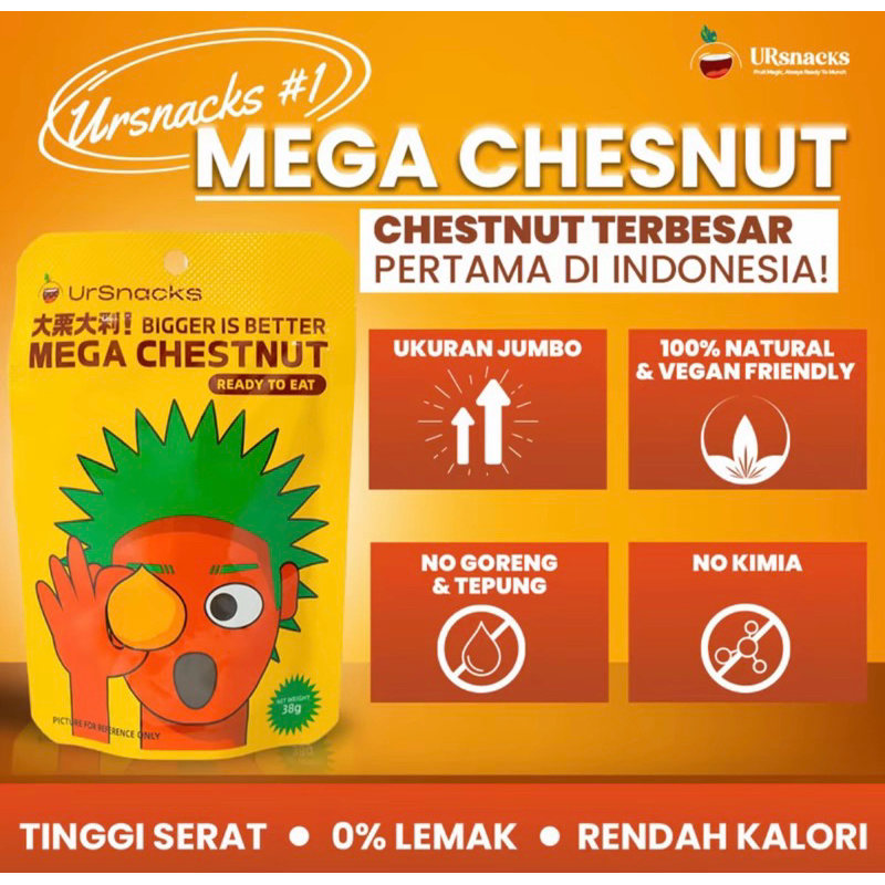 Jual [RS] URSNACKS Mega Chestnut 38gr - Kacang Traveller Bikin Kenyang ...