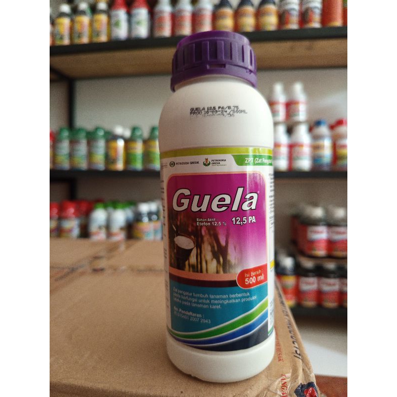 Jual Guela 12,5 PA 500ml Perangsang Getah Karet | Shopee Indonesia