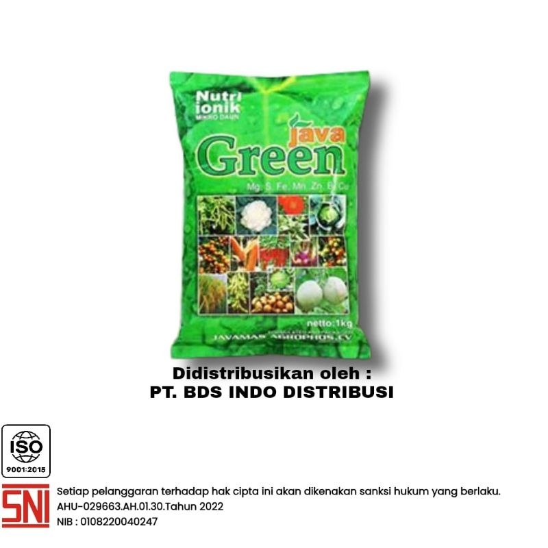 Jual Java green - 1 Kg | Shopee Indonesia
