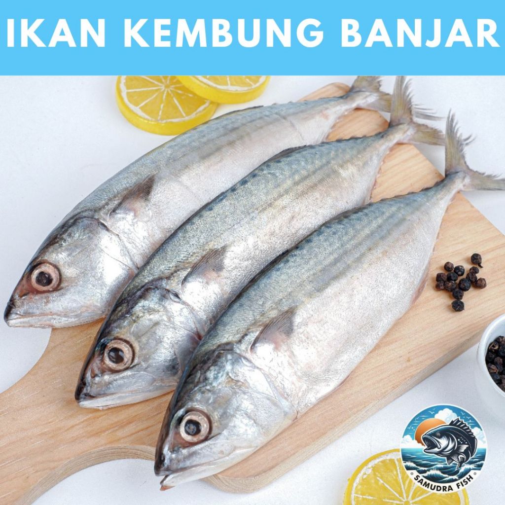 Jual Kembung Banjar Fresh & Fillet | Ikan Semarang | Beli Ikan Segar ...