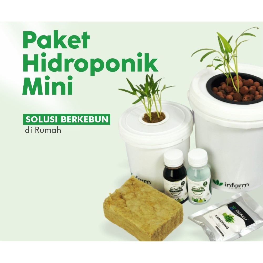 Jual Paket Hidroponik Mini Dutch Bucket Praktis rockwool netpot benih ...