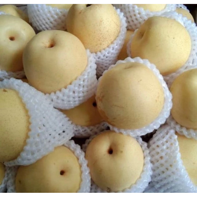 Jual Buah Pir Century 500gr Pear Kuning | Shopee Indonesia