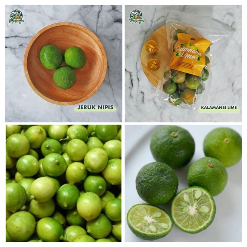 Jual Jeruk Nipis | Jeruk Limo Limau | Jeruk Kasturi Cui | Jeruk Lemon ...