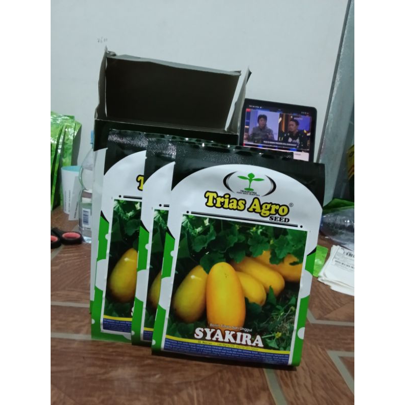 Jual Benih Buah Timun Suri Bangkok Syakira F1 kulit Kuning (Disukai ...