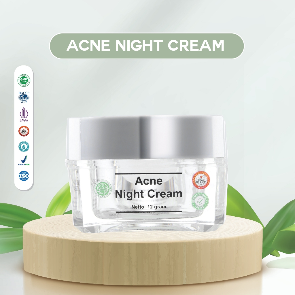 Jual [ 3.3 FLAS SALE ] MS GLOW ACNE NIGHT CREAM (JERAWAT) | Shopee ...