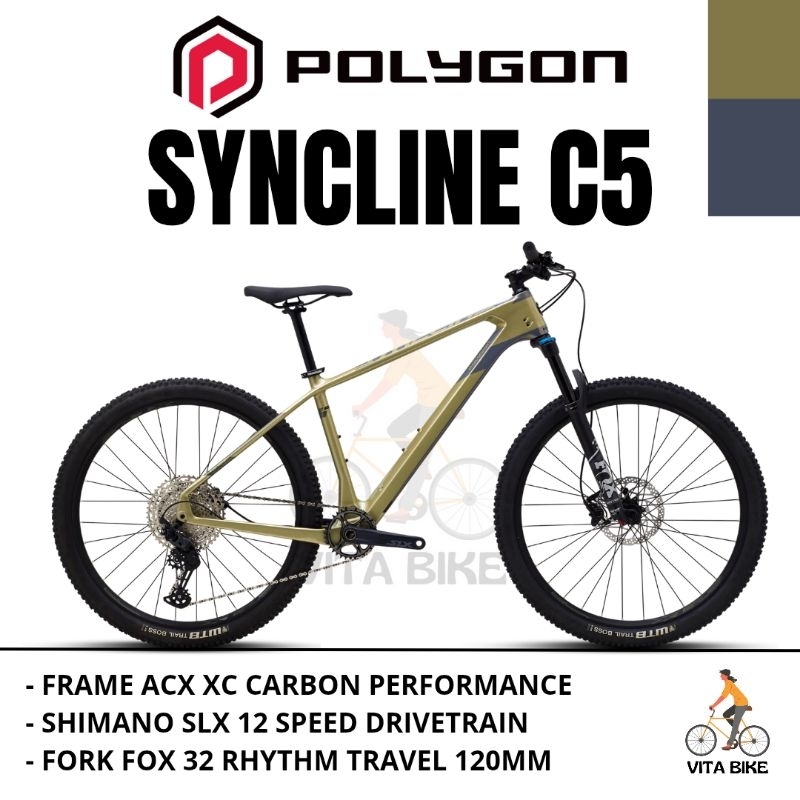 Jual Sepeda Polygon Syncline C5 Carbon 12 Speed | Shopee Indonesia