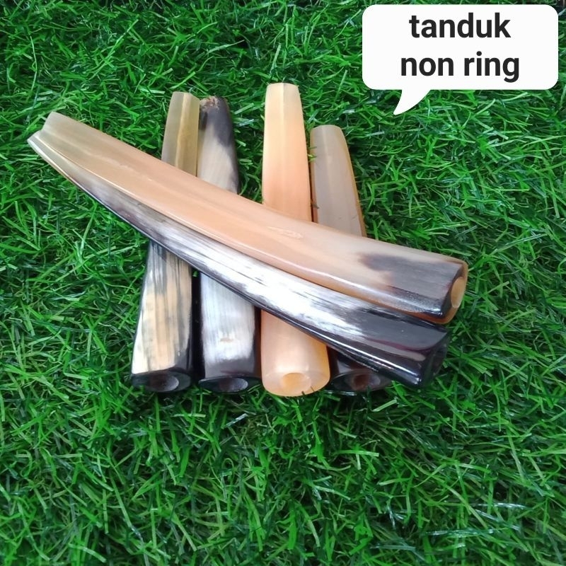 Jual Pipa Pipo Once Tanduk Cangklong Non Ring Model Minimalis Warna ...