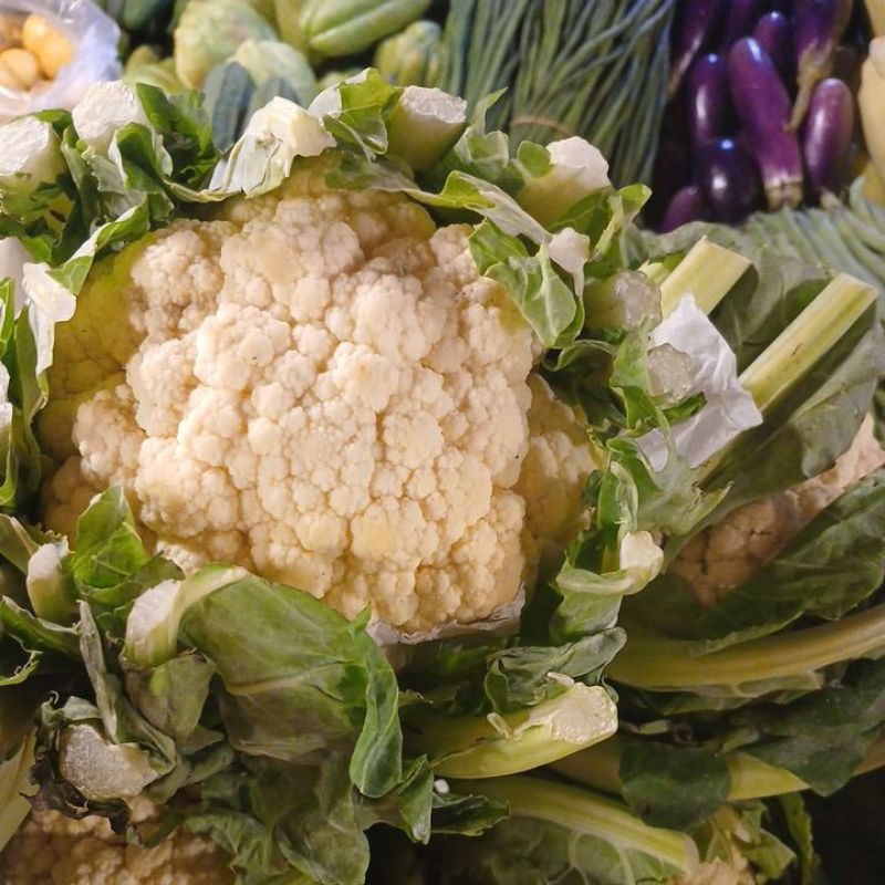 Jual bunga kol/kembangkol 1kg bandung | Shopee Indonesia