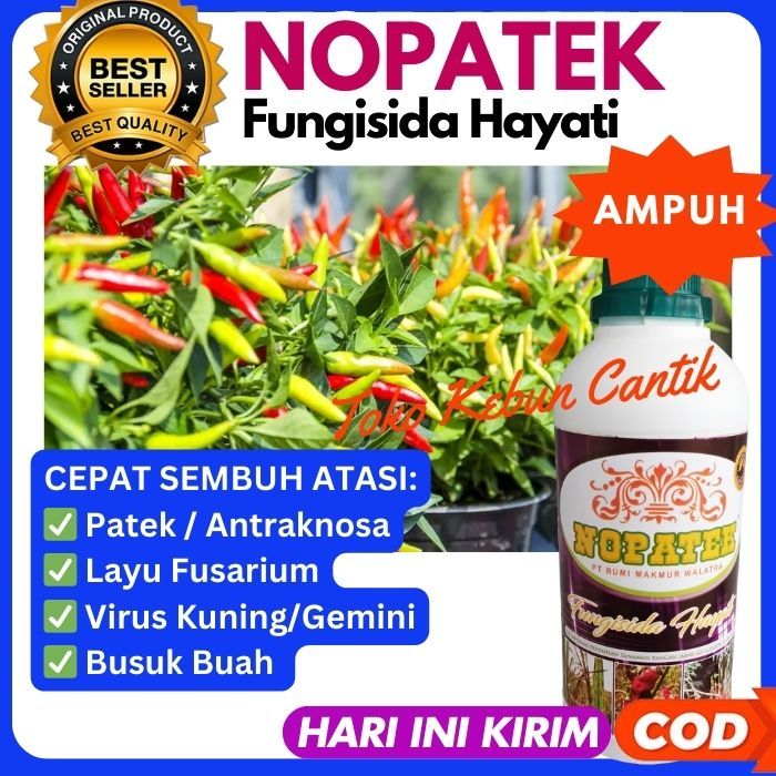 Jual NOPATEK Fungisida Hayati Obat Ampuh untuk Penyakit Tanaman ...