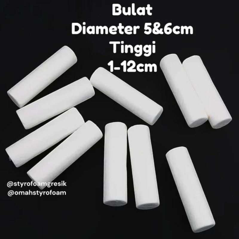 Jual Bulat diameter 5,6cm tinggi 1-12cm dummy cake tiyang Styrofoam ...