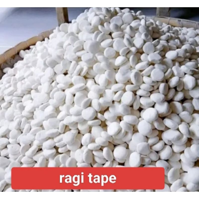 Jual ragi tape singkong tape ketan perbiji | Shopee Indonesia