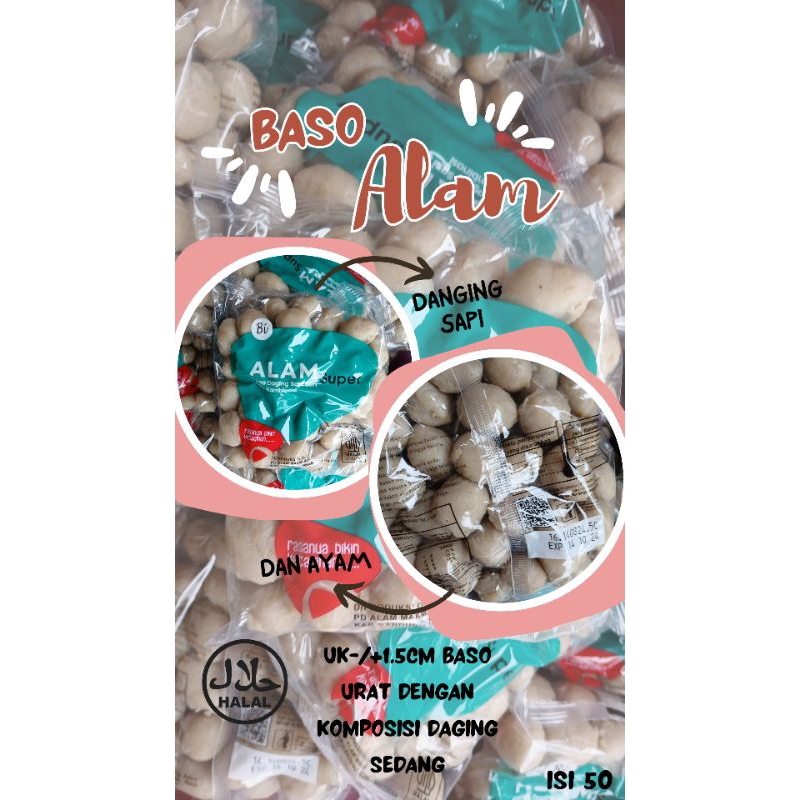 Jual SYAHIRAH FROZEN - Baso Alam Super Kode BI isi 50 butir MIni Halal ...
