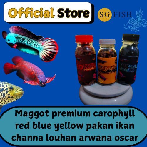 Jual Maggot premium carophyll red blue yellow pakan ikan channa louhan ...