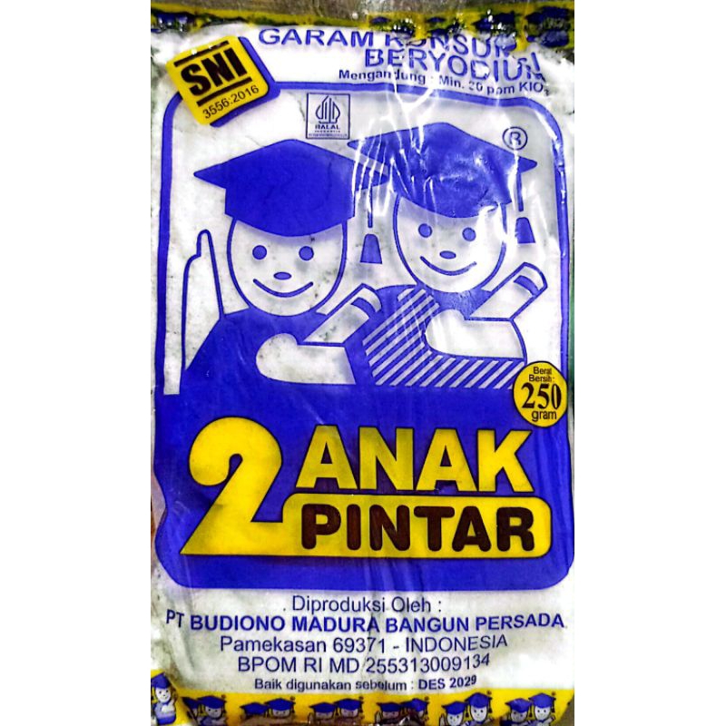 Jual Garam 2 Anak pintar 250gr | Shopee Indonesia