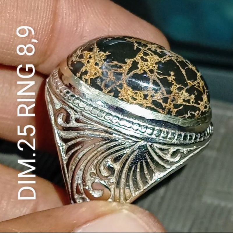 Jual PIRUS HITAM SAKRAL BLACK SPIDER GUNUNG RAUNG | Shopee Indonesia