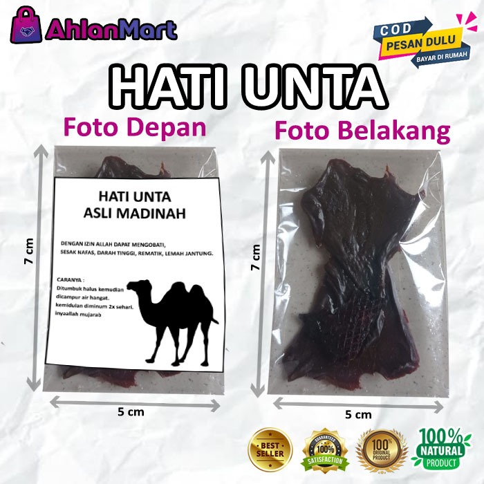 Jual HATI UNTA ONTA ASLI ARAB MADINAH MENYEMBUHKAN PENYAKIT ASMA, SESAK ...