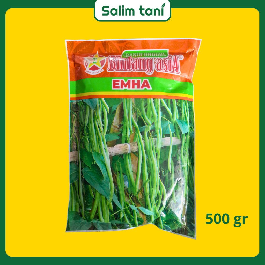 Jual Benih Buncis EMHA 500 Gram Bibit Bintang Asia | Shopee Indonesia