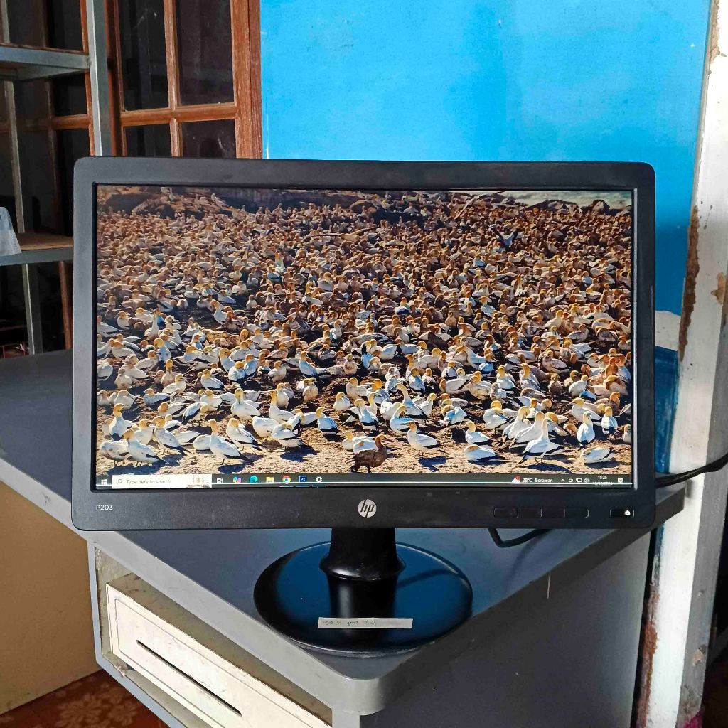 Jual Monitor Led Merk Hp P203 Ukuran Layar 20 Inch Kondisi Normal K004 ...