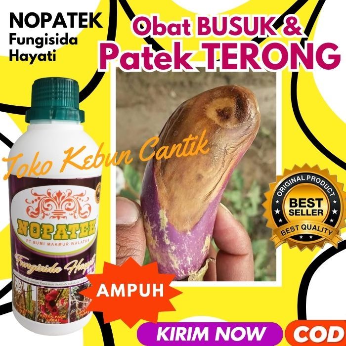 Jual PRODUK ASLI. NOPATEK 500ML untuk Atasi TERONG BUSUK, Penyakit ...