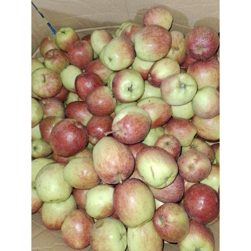 Jual Apel Ana Merah 1kg (sedang) | Shopee Indonesia