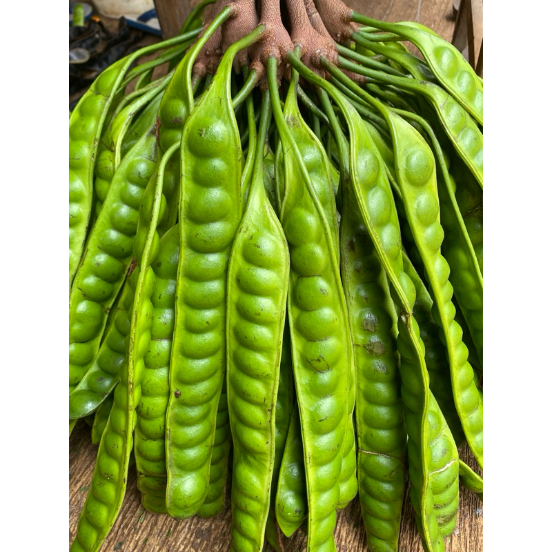 Jual pete pendek 10 papan pete padi wonogiri | Shopee Indonesia